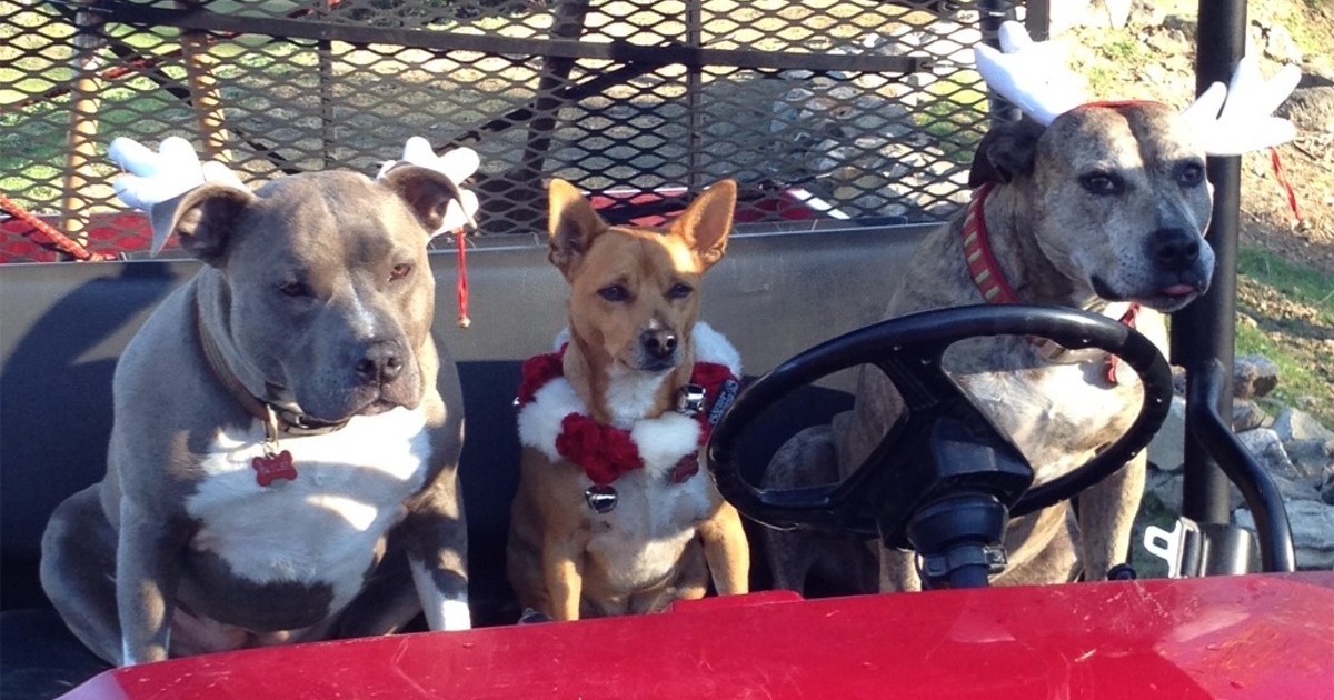 Lexi Annmarie, Haylee Rae, Hugo Esteban – Freekibble