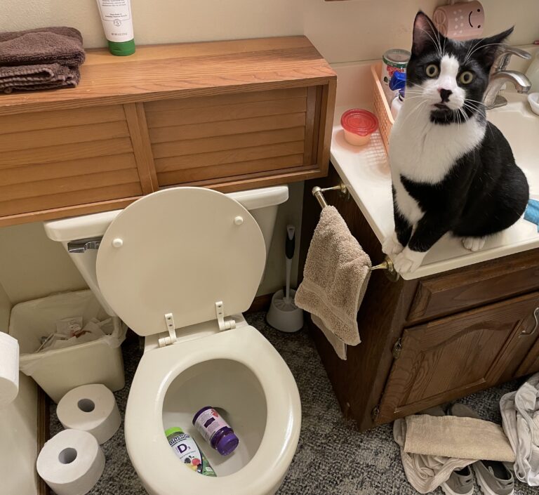 Mickey – Freekibble