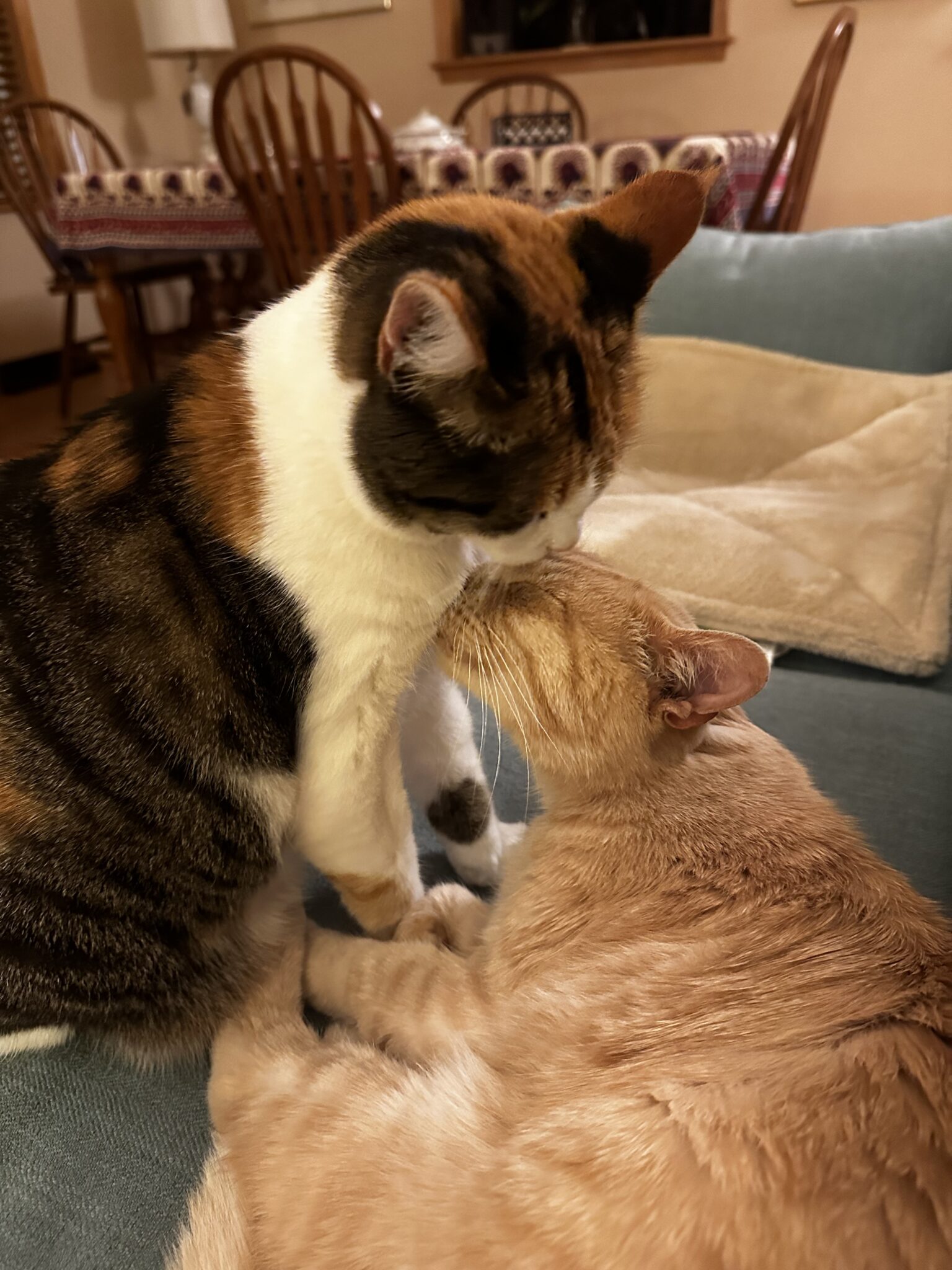 Ole & Lena Too – Freekibble